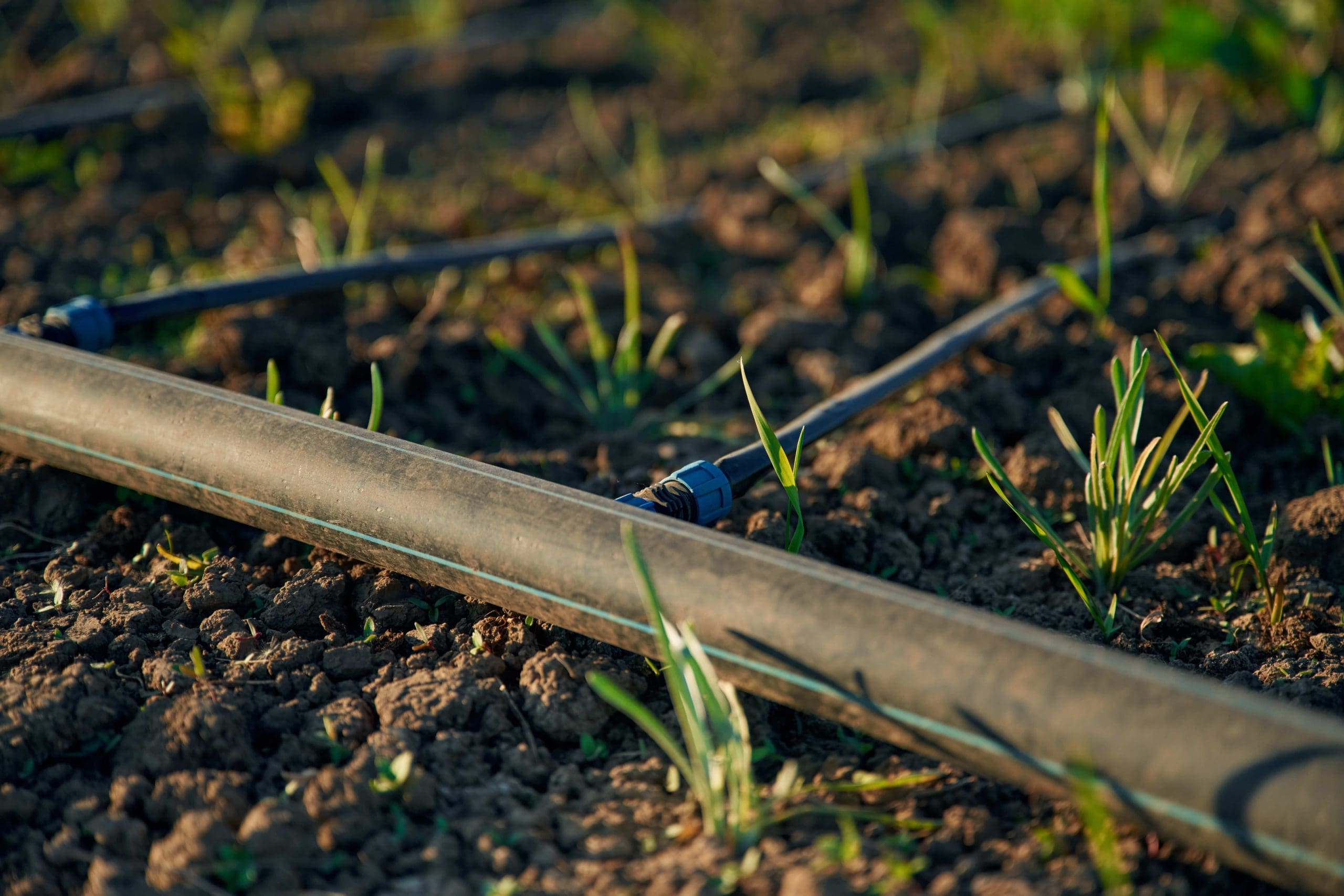 Irrigation Systems | Drip, Centre Pivot, Sprinkler & More